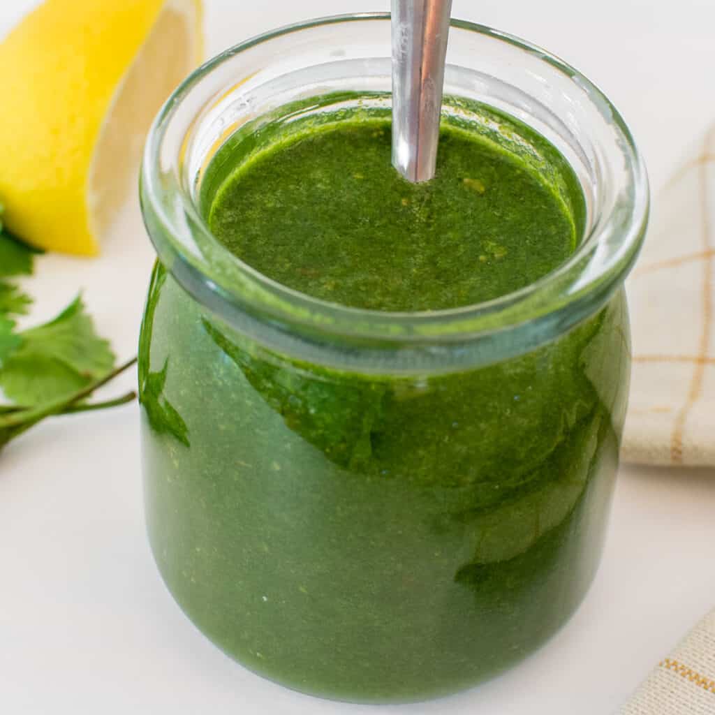 Fresh Cilantro Chutney (Indian Green Chutney) - kiipfit.com